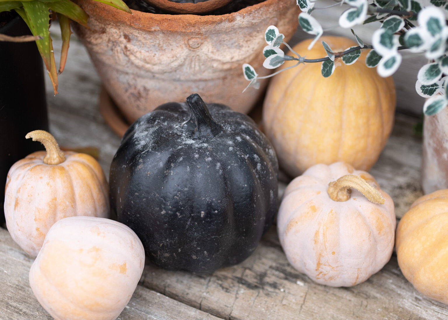 DIY AGED PUMPKIN - It's Me, ChristyB